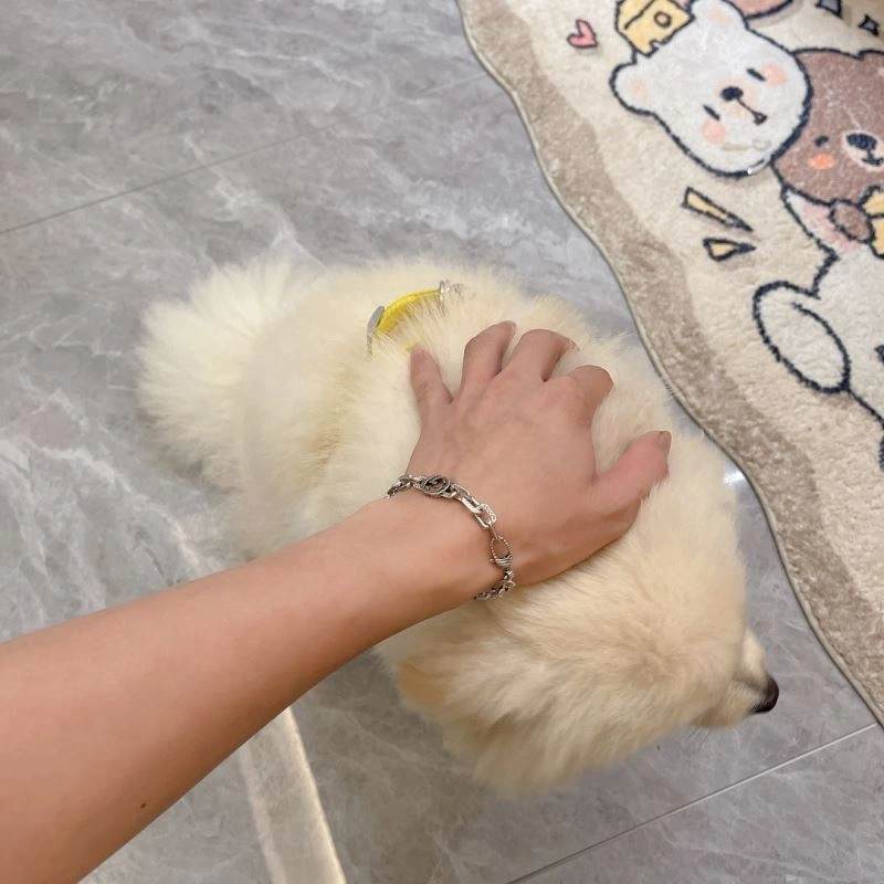Exact replica Gucci Bracelets