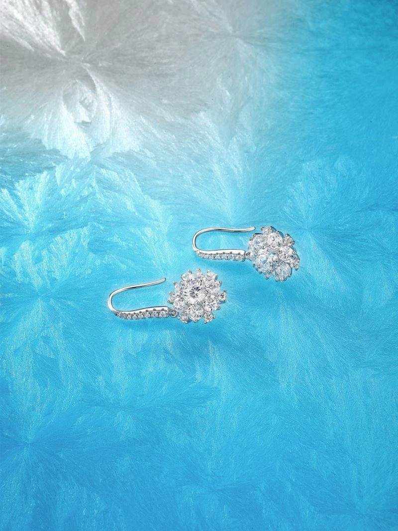 Reasonably priced Gucci Earrings