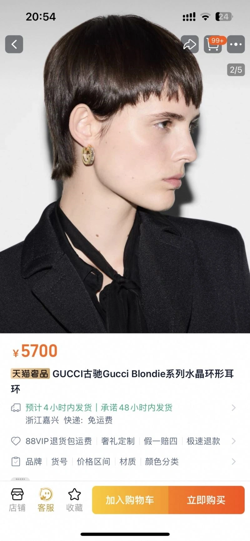 Low-cost Gucci Earrings