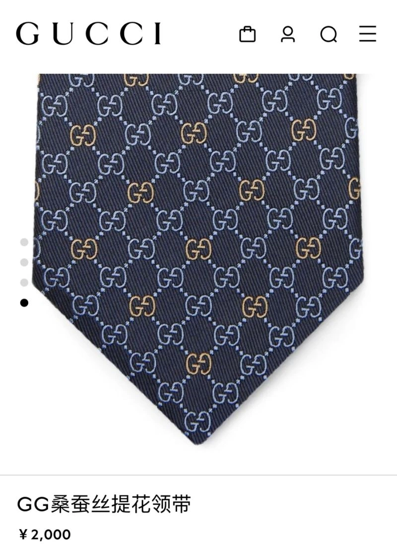 Gucci Neckties