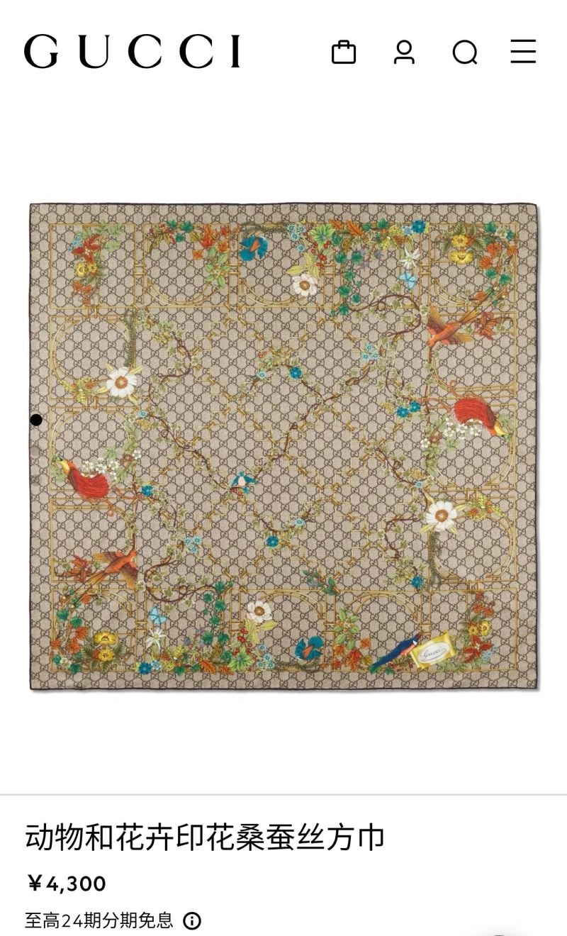 Gucci Scarf