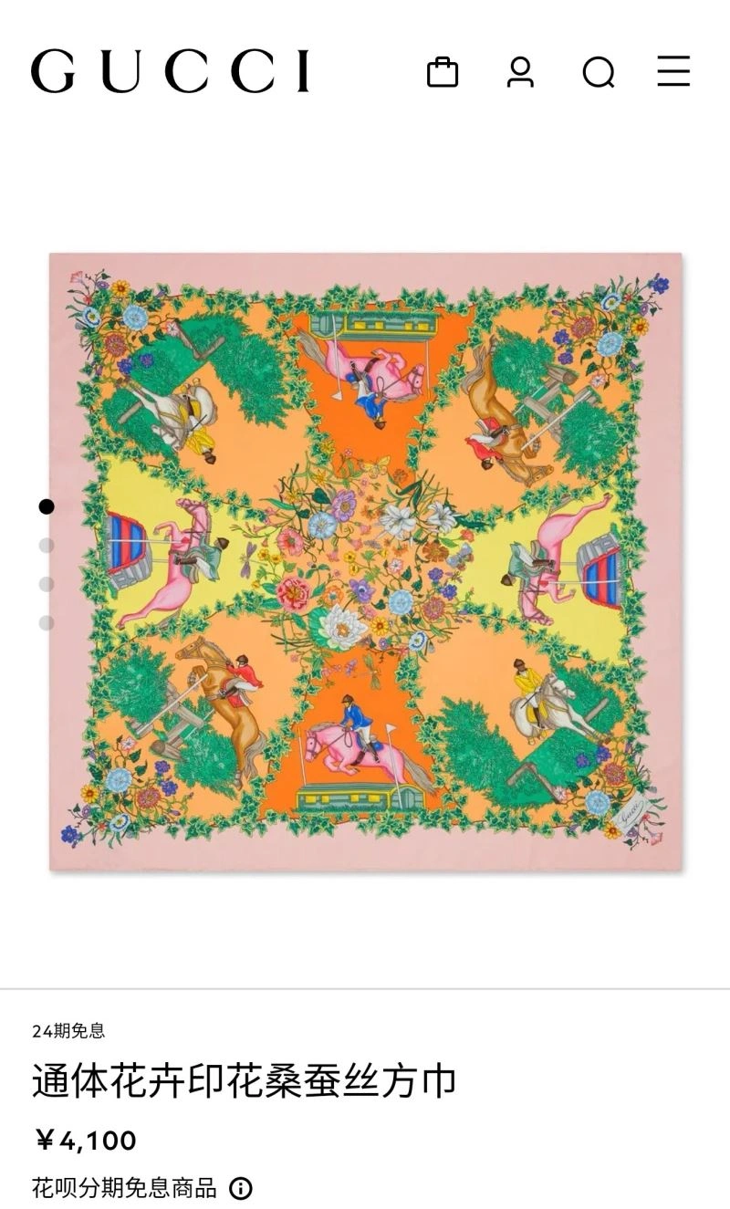 Gucci Scarf