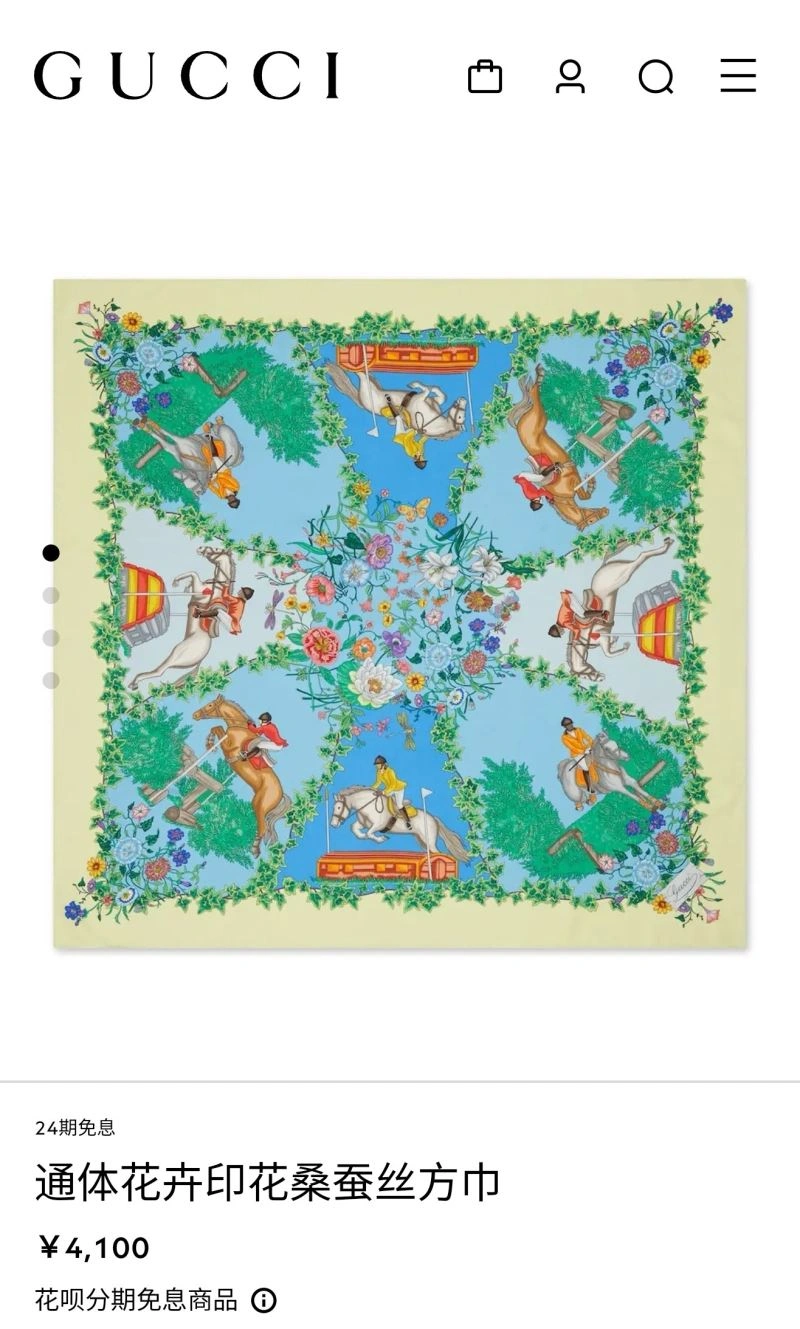 Gucci Scarf