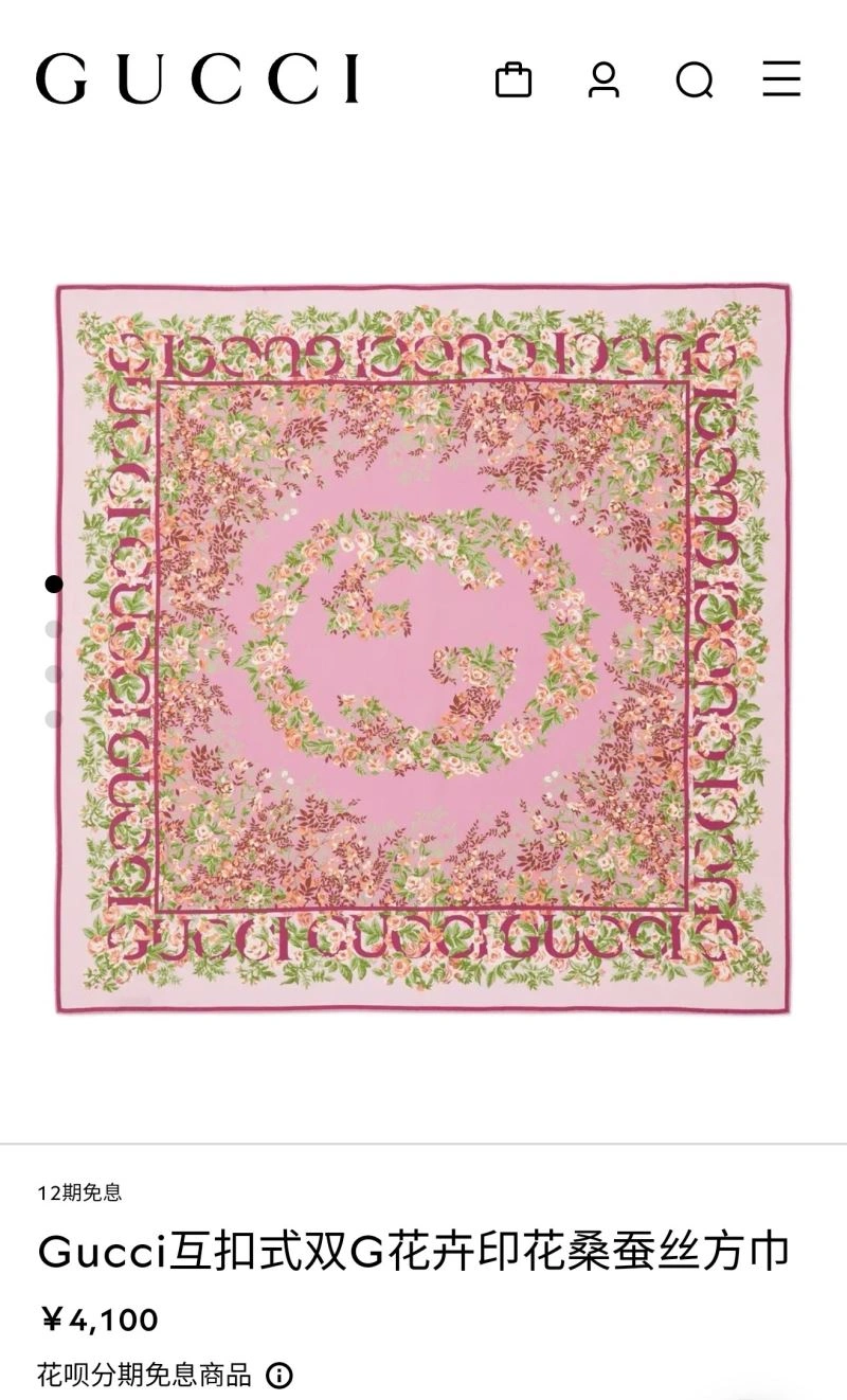 Gucci Scarf