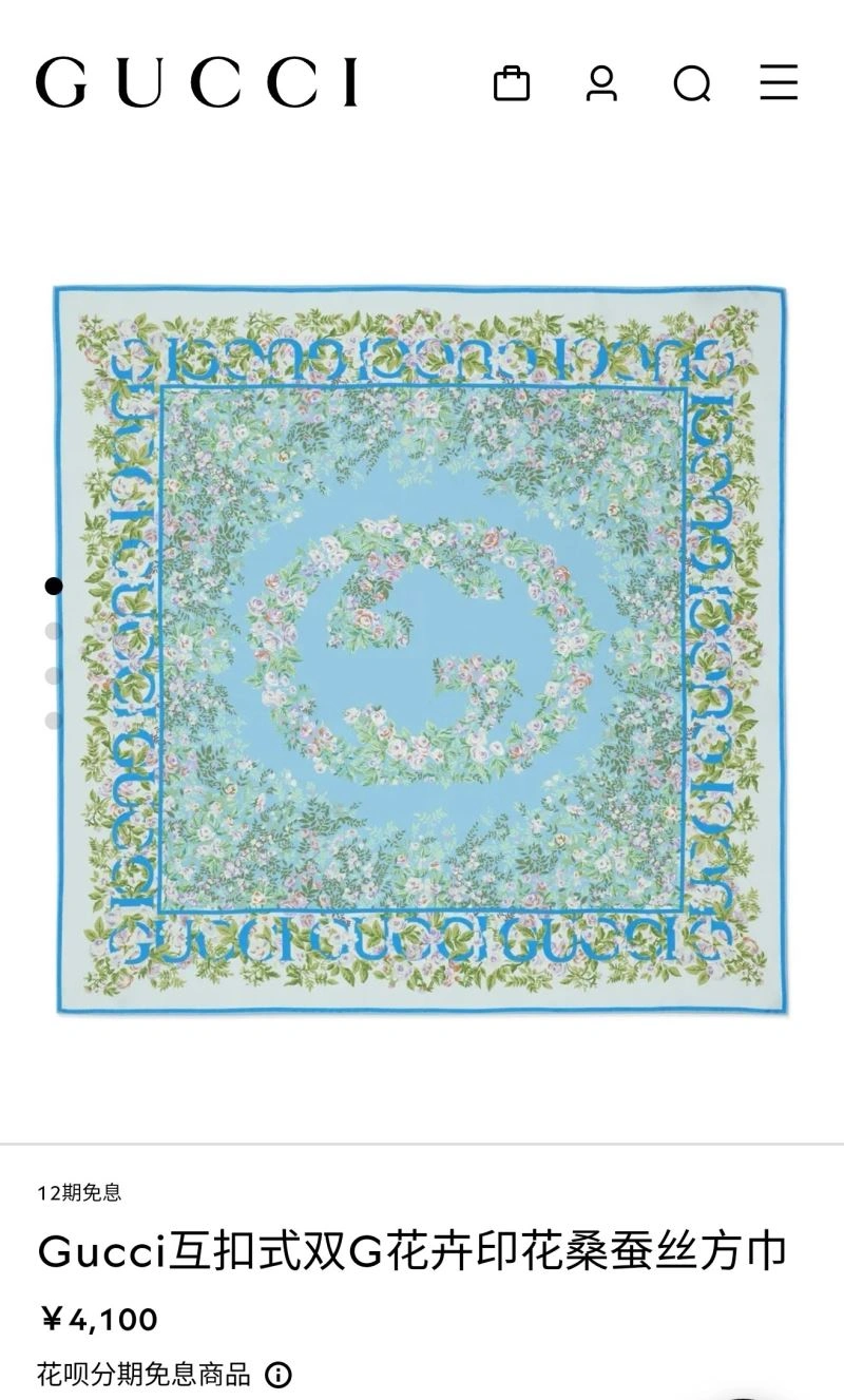 Gucci Scarf