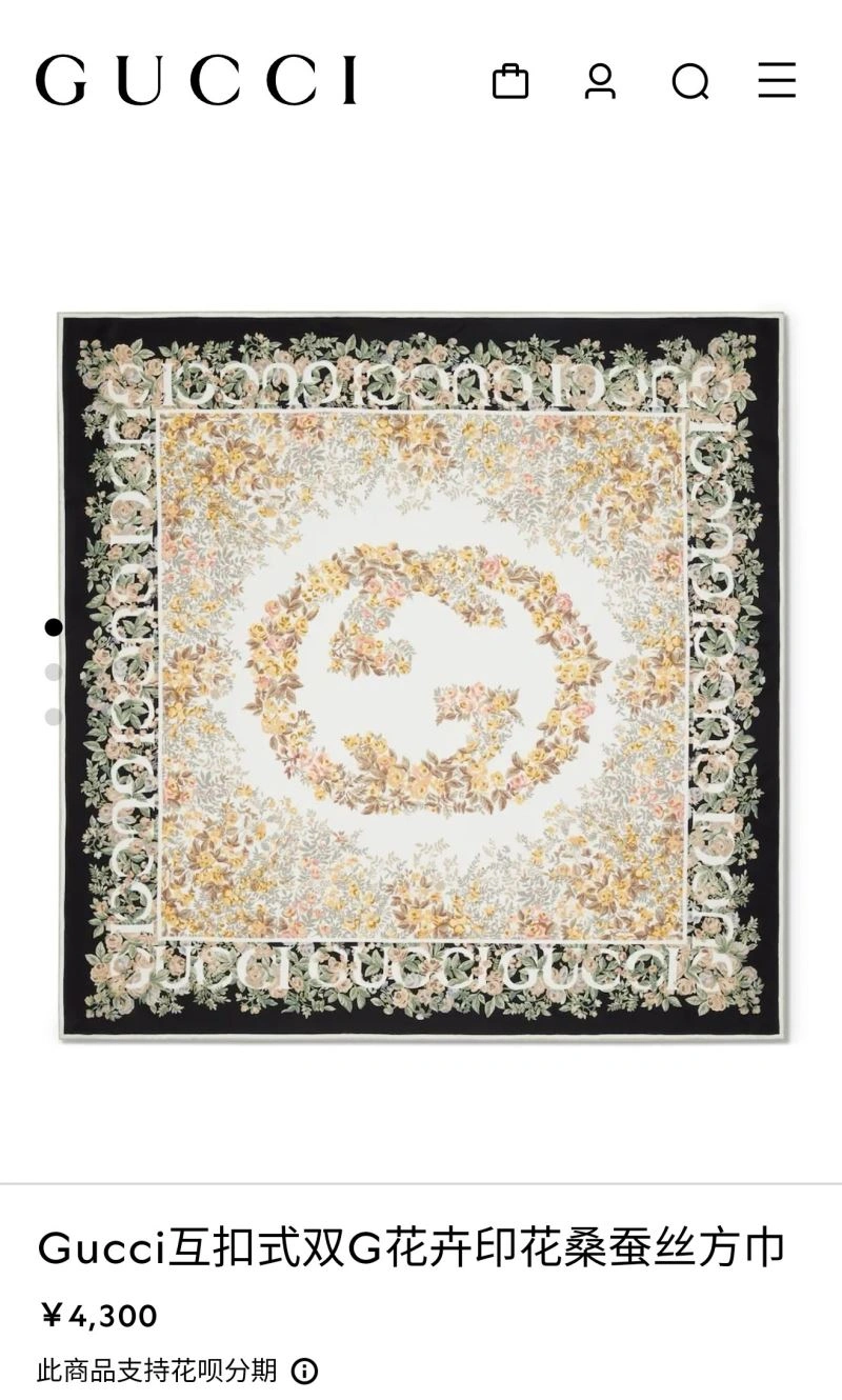 Gucci Scarf