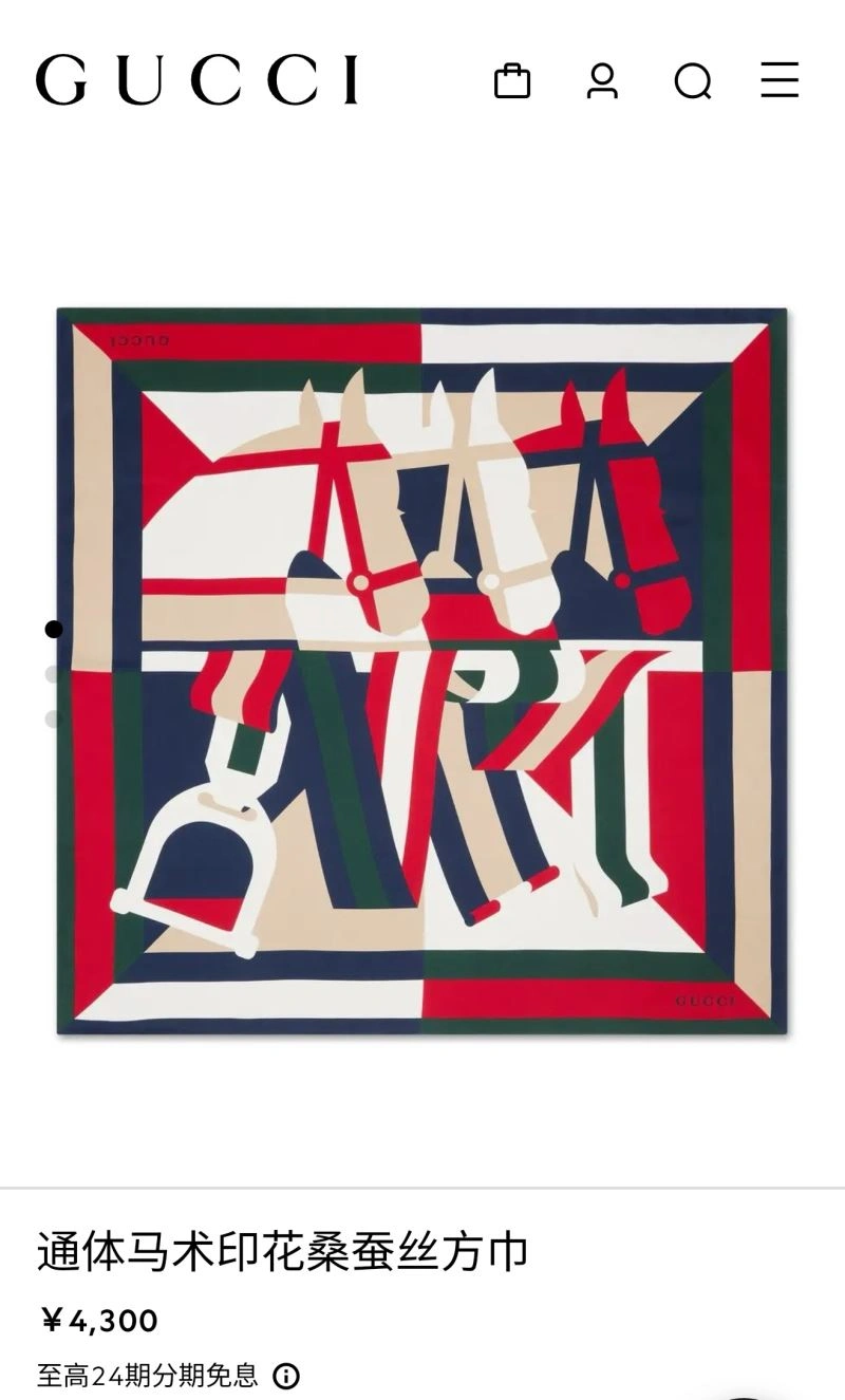 Gucci Scarf