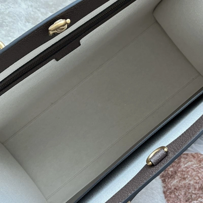 High fidelity Gucci Shopping Bags