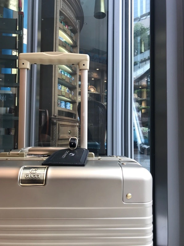 Economical Gucci Suitcase
