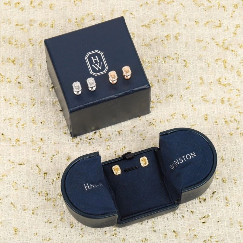 Harry Winston Earrings