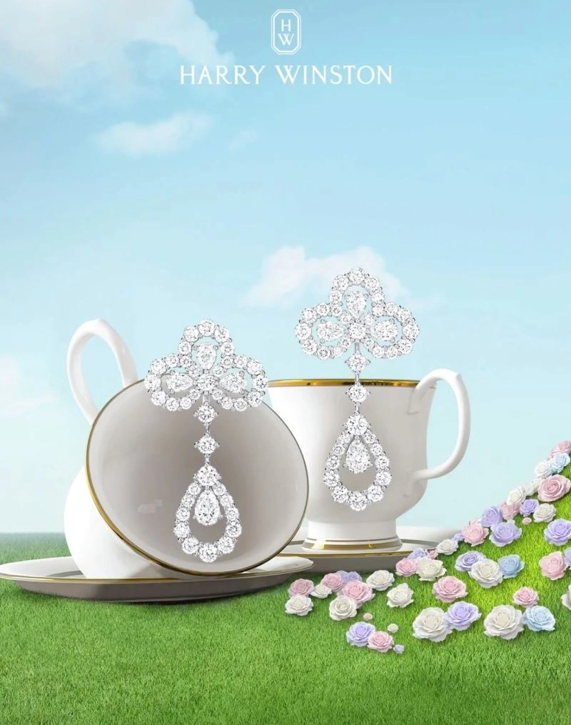 Harry Winston Earrings
