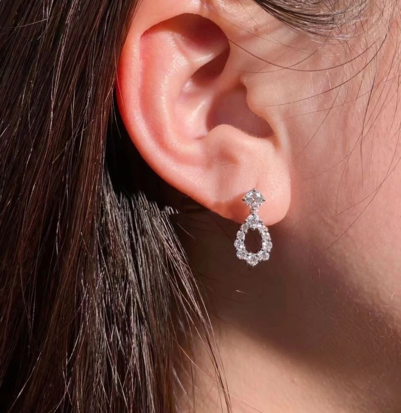Harry Winston Earrings