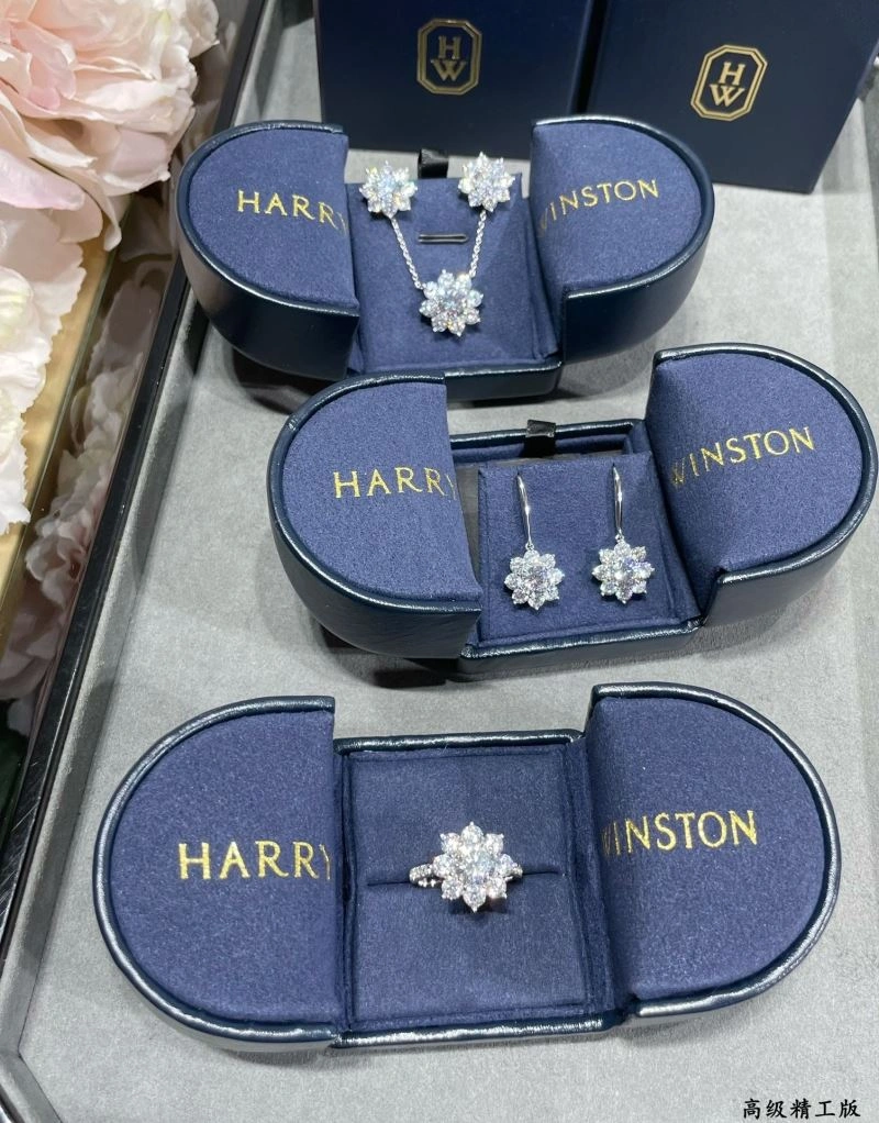 Mirror quality Harry Winston Earrings