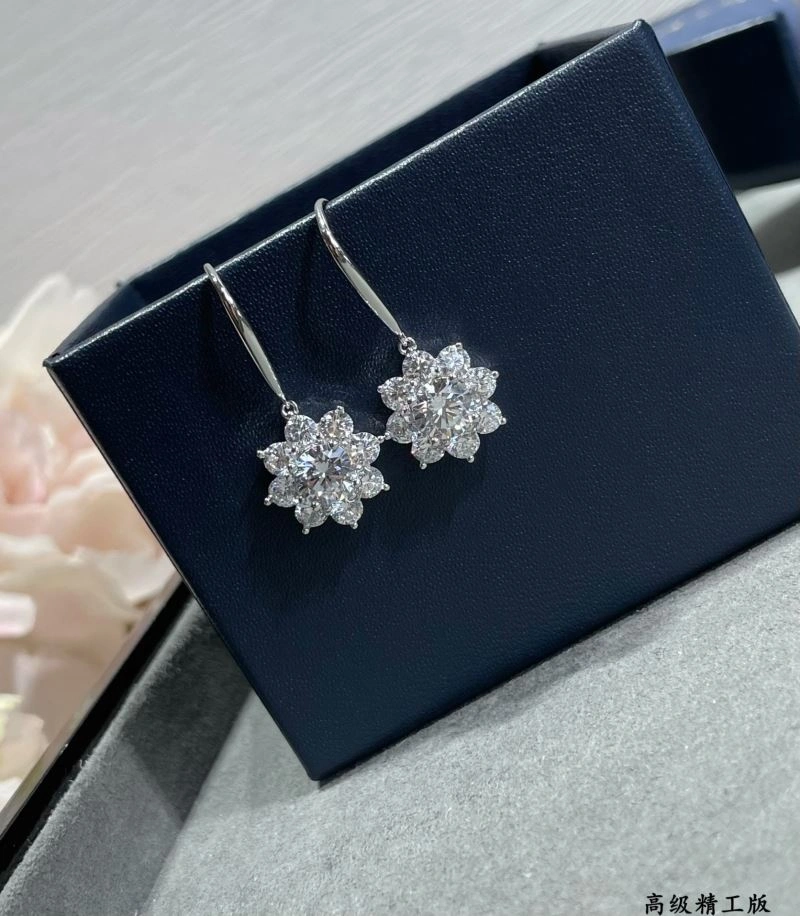 Mirror quality Harry Winston Earrings