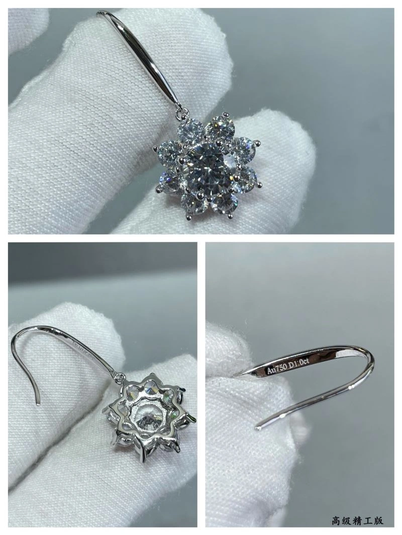 Mirror quality Harry Winston Earrings