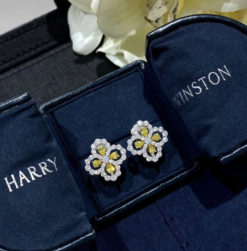 Harry Winston Earrings