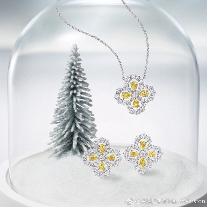 High accuracy Harry Winston Earrings