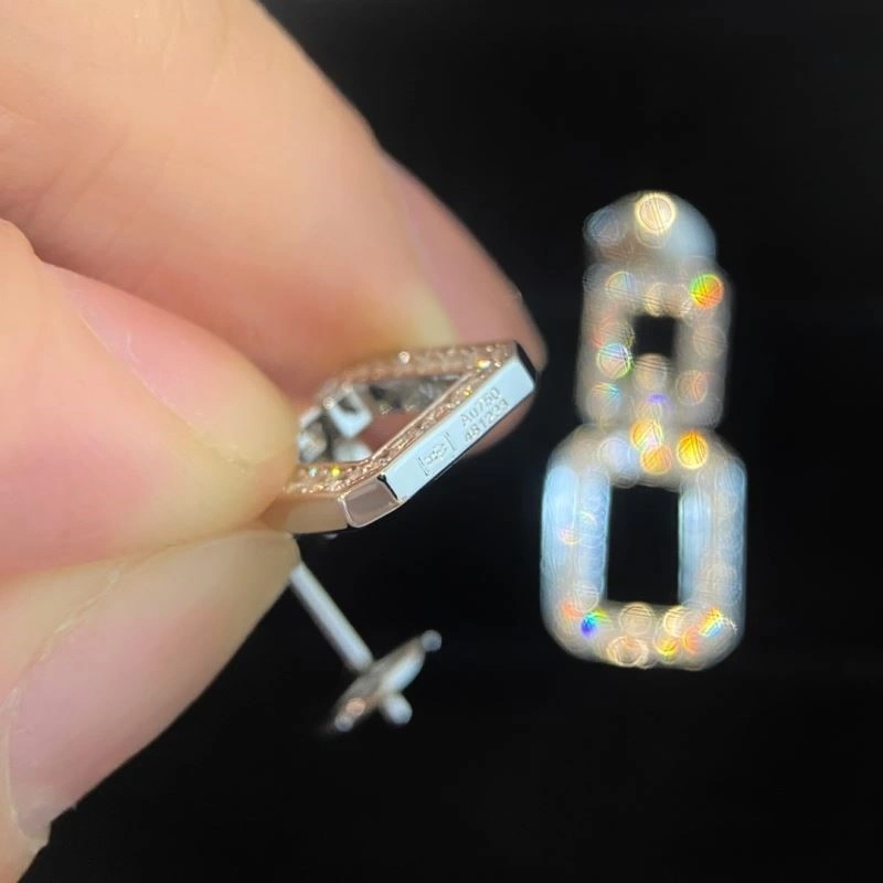Mirror quality Harry Winston Earrings