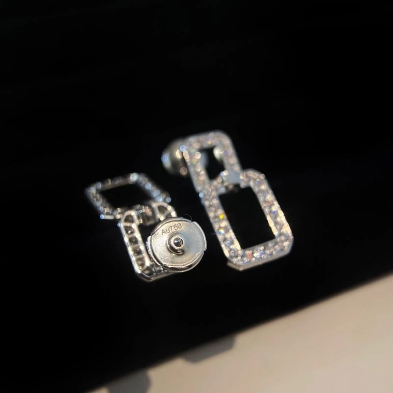 Mirror quality Harry Winston Earrings