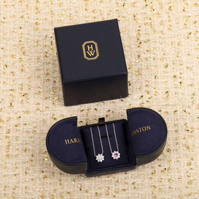 Harry Winston Necklaces