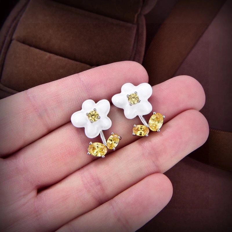 Cut-rate Hefang Earrings