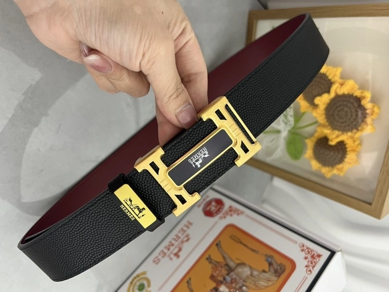 Top mirror Hermes Belts