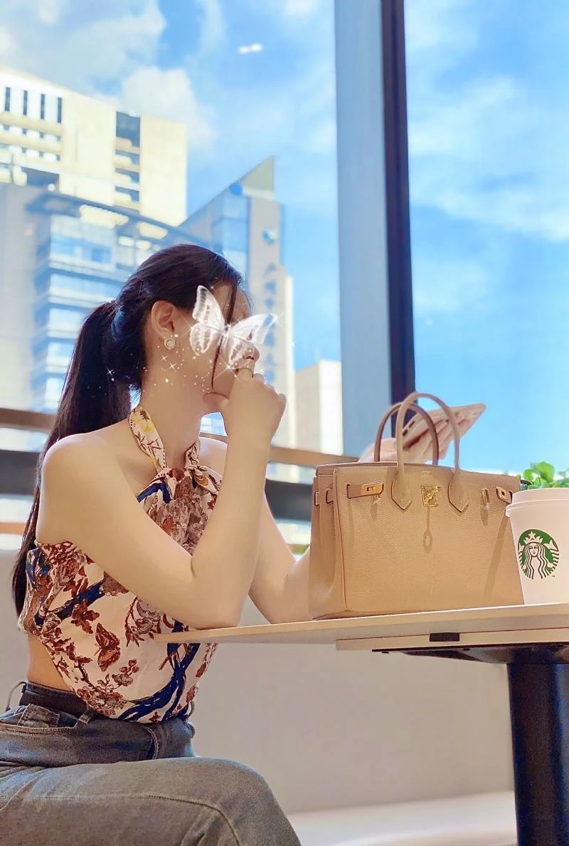 Economical Hermes Birkin Bags