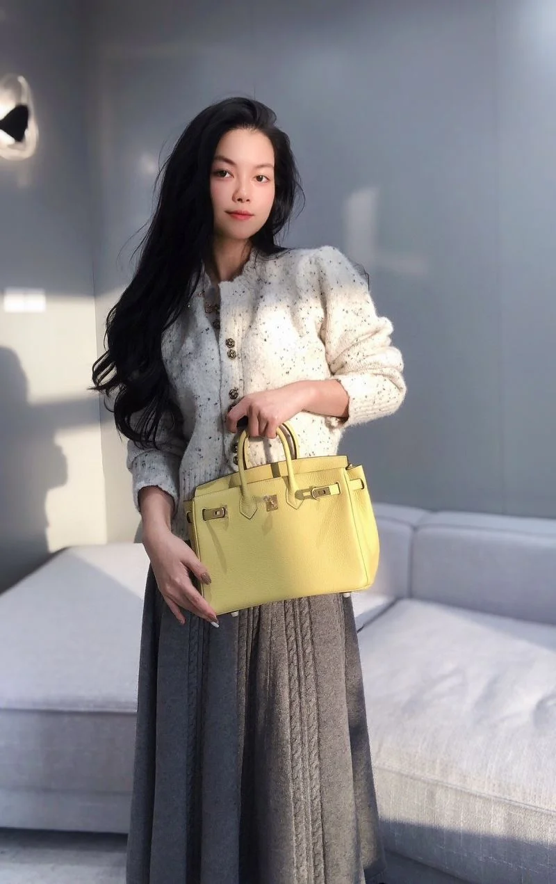 Reasonably priced Hermes Birkin Bags
