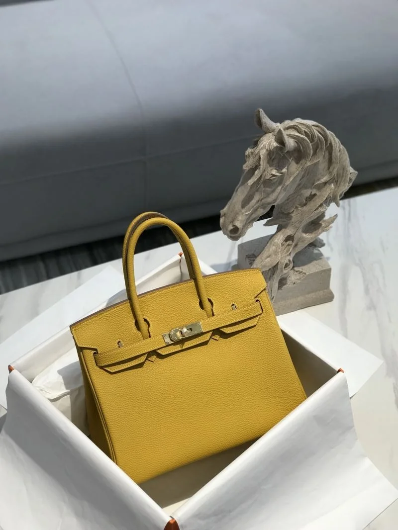 Reasonably priced Hermes Birkin Bags