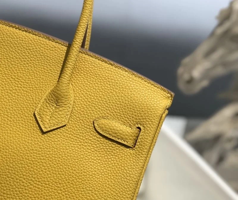 Reasonably priced Hermes Birkin Bags