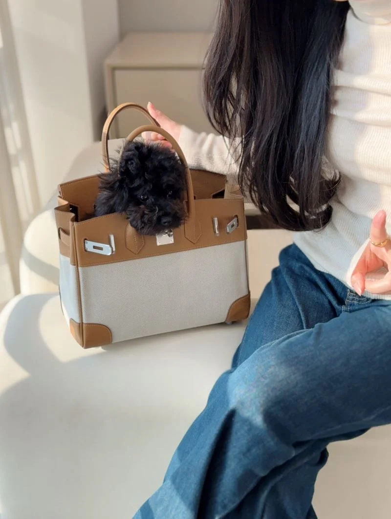 OEM Hermes Birkin Bags