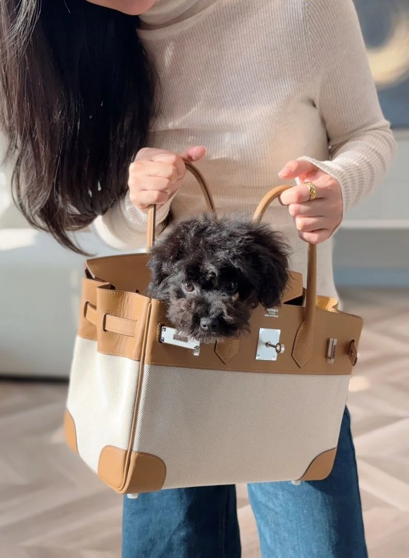 OEM Hermes Birkin Bags