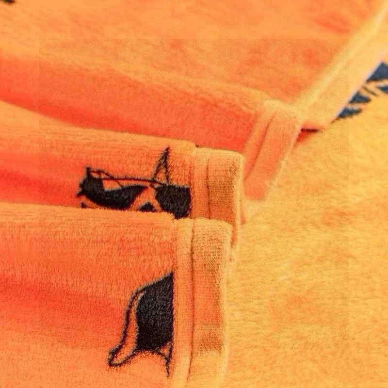 Legit Hermes Blanket