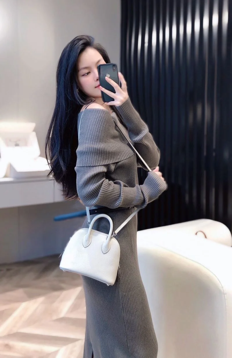 Genuine Hermes Bolide Bags