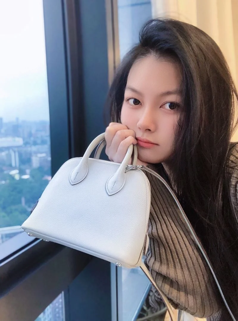 Real Hermes Bolide Bags