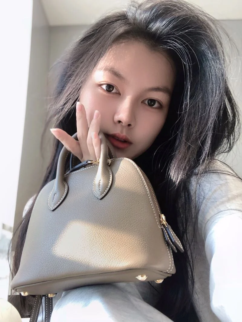 Accurate model Hermes Bolide Bags
