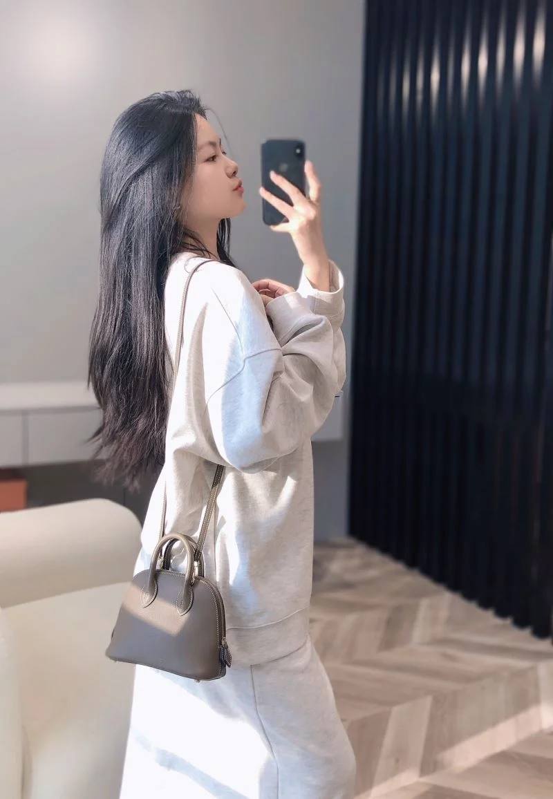 Accurate model Hermes Bolide Bags