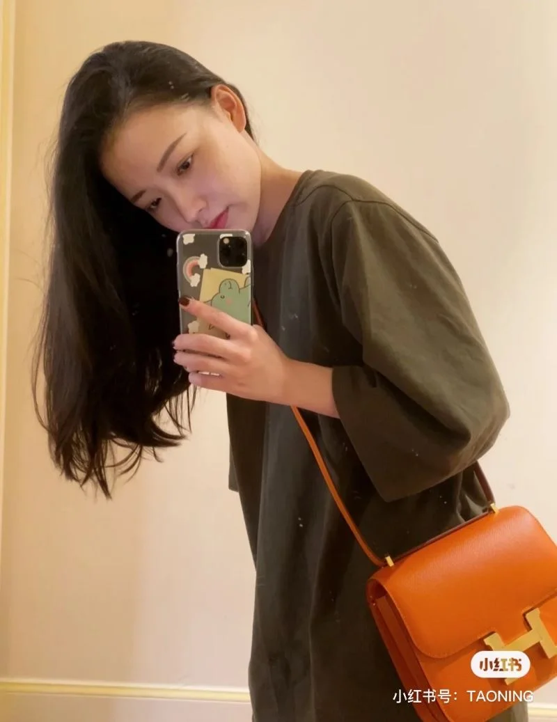 Indistinguishable Hermes Constance Bags