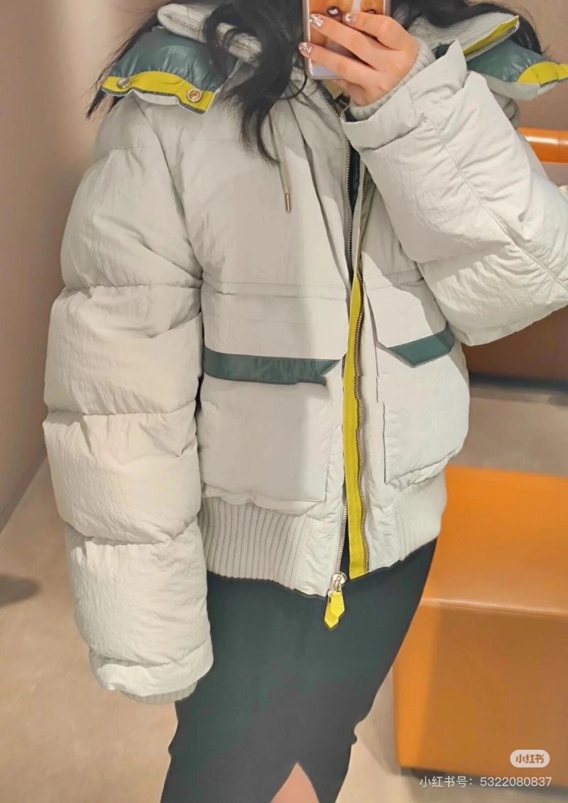 Indistinguishable Hermes Down Jackets
