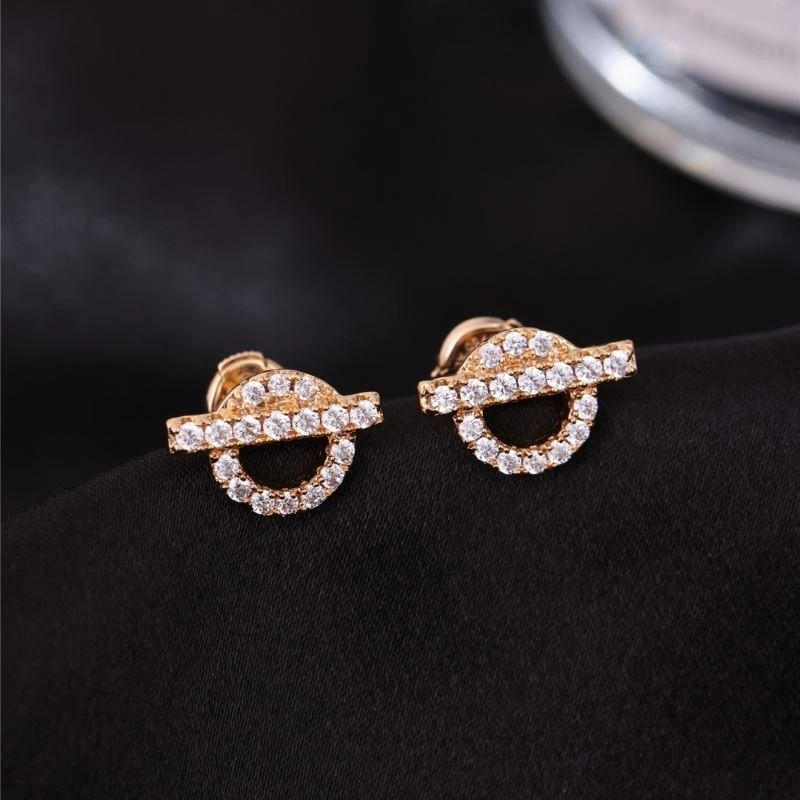 Economical Hermes Earrings