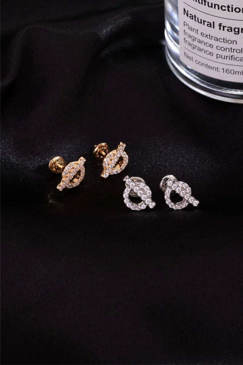 Economical Hermes Earrings