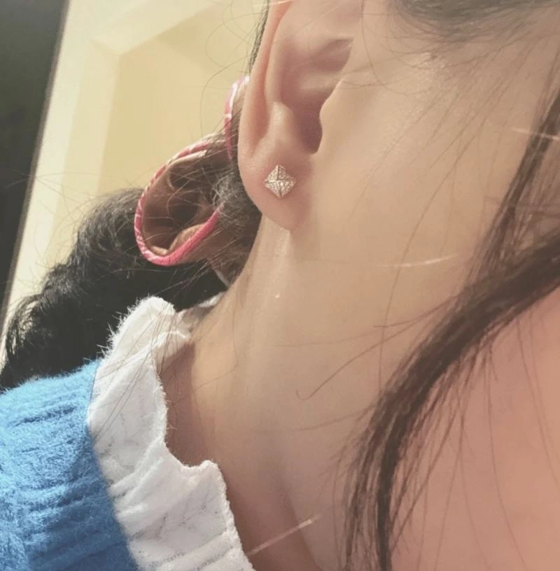 Brand-authenticated Hermes Earrings