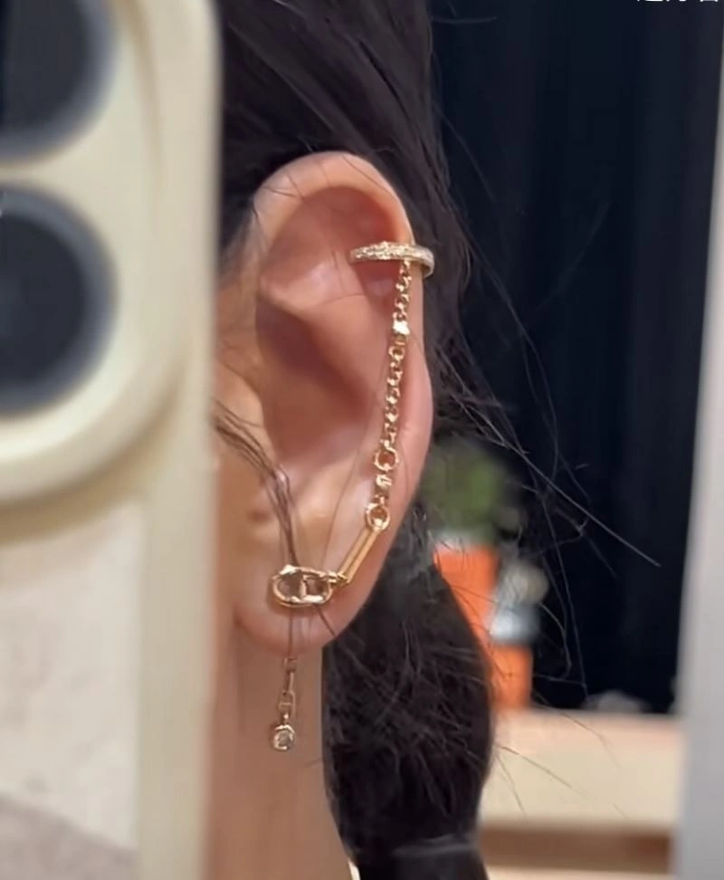 Official Hermes Earrings