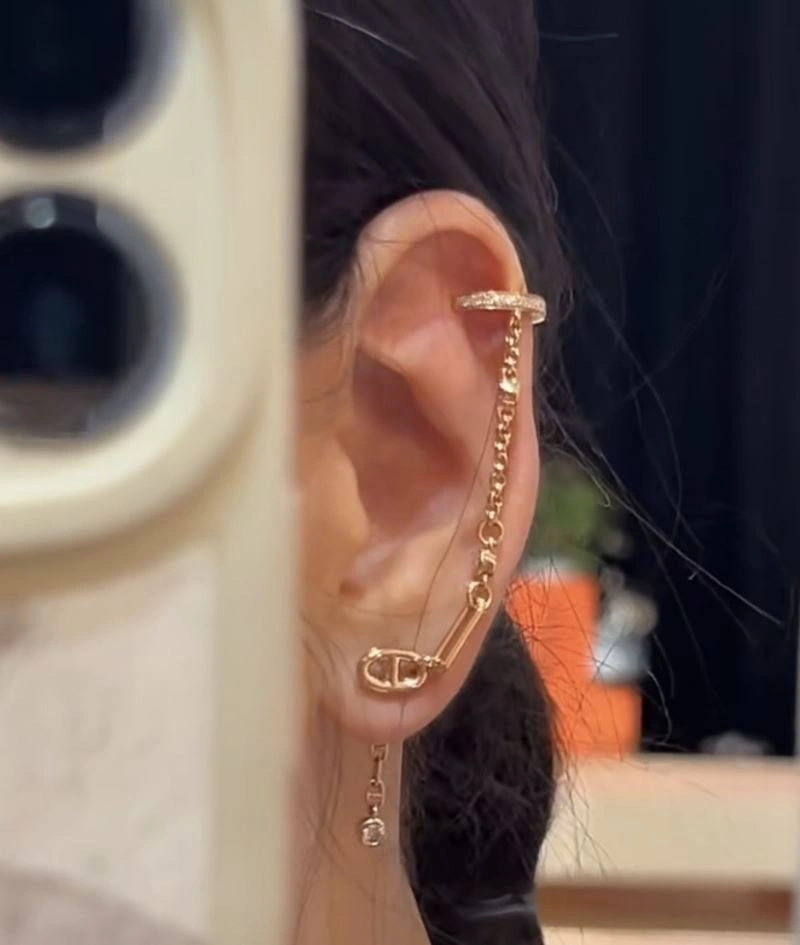 Official Hermes Earrings