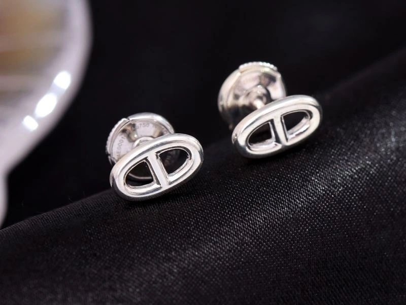 Economical Hermes Earrings