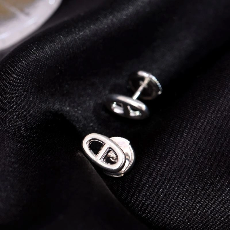 Economical Hermes Earrings