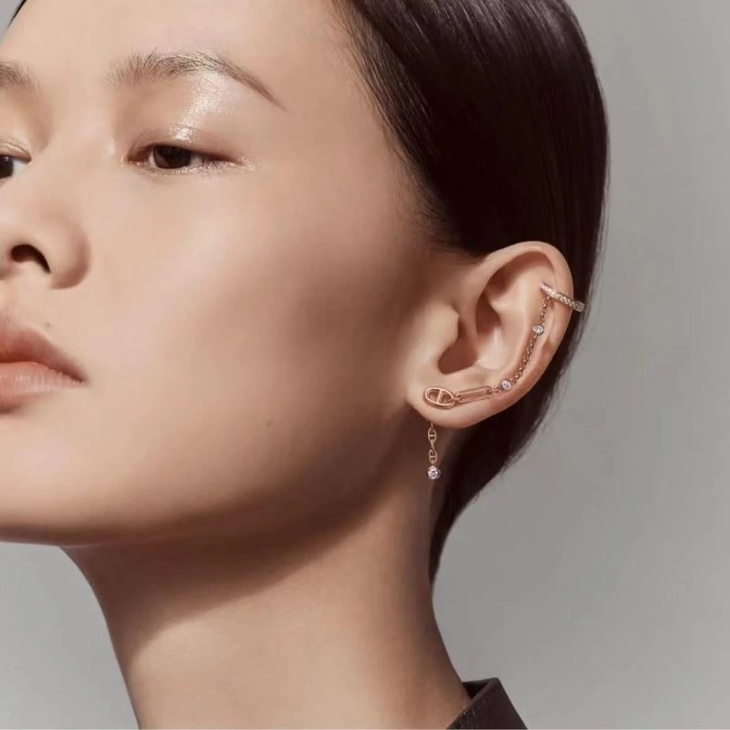 Value-priced Hermes Earrings