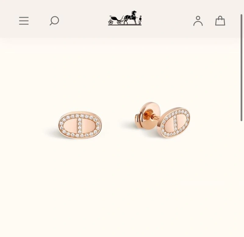 Reasonably priced Hermes Earrings