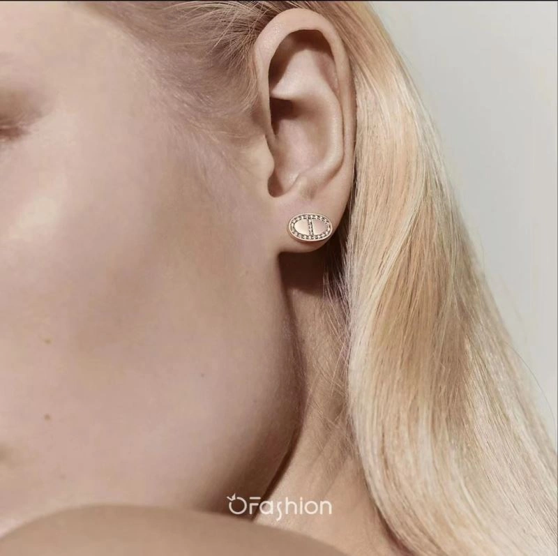 Reasonably priced Hermes Earrings