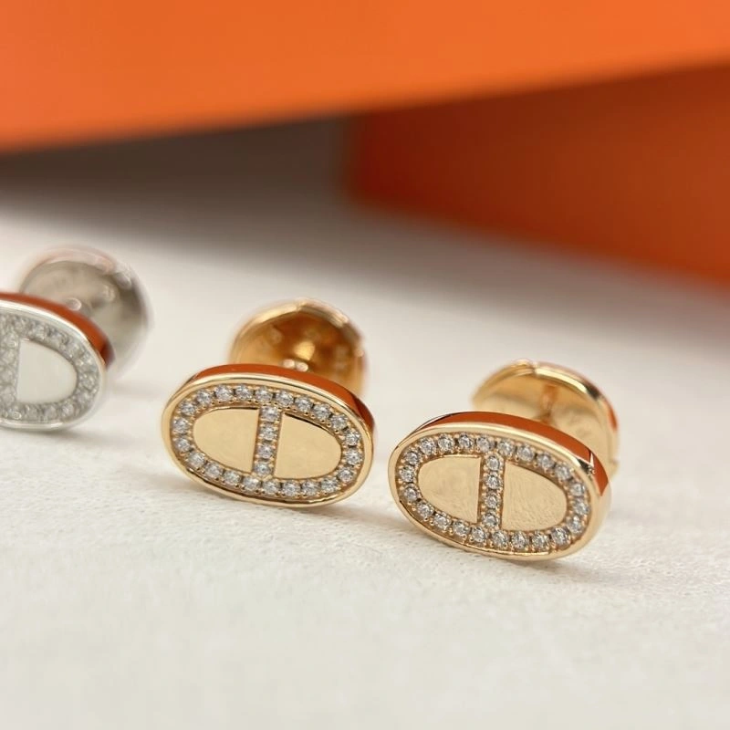 Reasonably priced Hermes Earrings